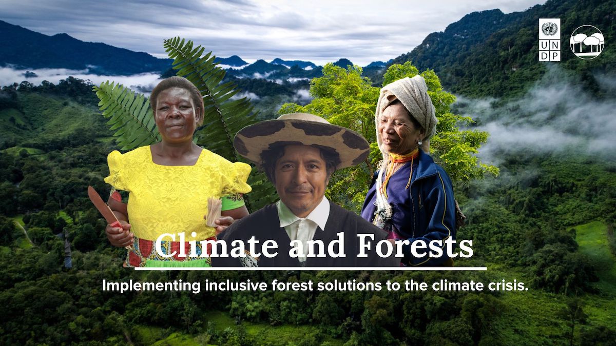 Resources | Climate and Forests